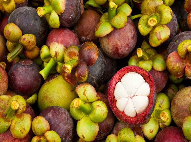 Countries With Most Exotic And Rare Fruits In The World TripHobo